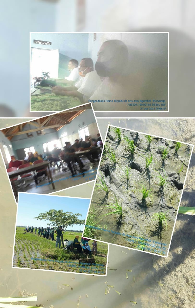 Monev SLPHT: Lokasi Desa Awu-awu Kecamatan Ngombol